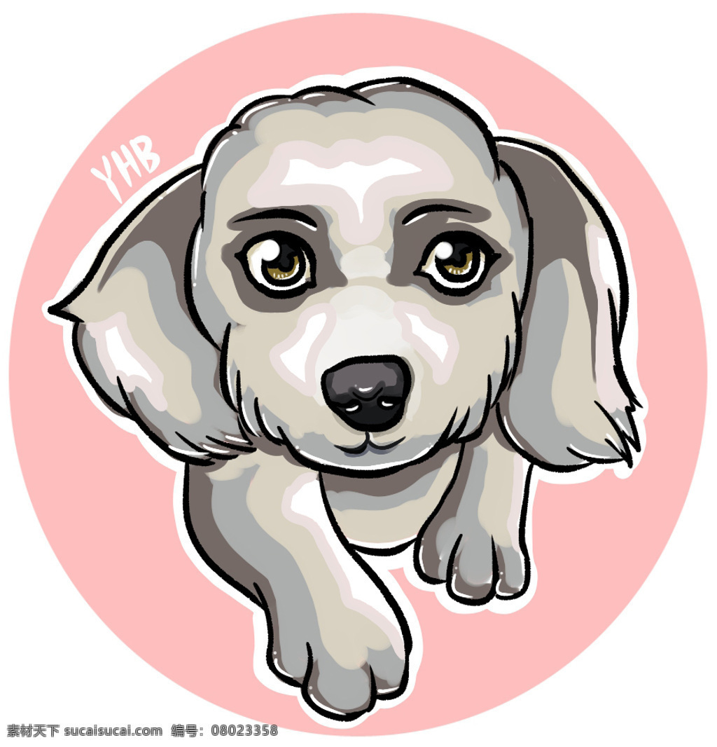 白色狗狗素材图片下载-素材编号08023358-素材天下图库