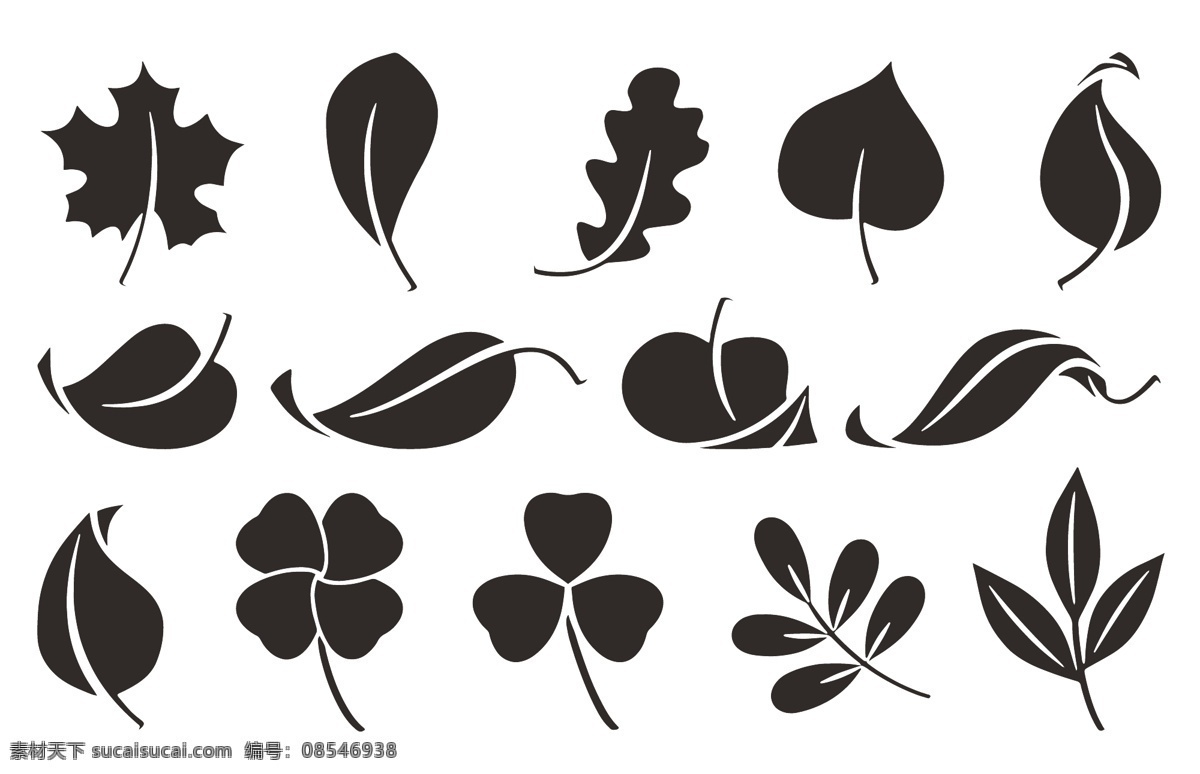 植物树叶矢量合集素材图片下载-素材编号08546938-素材天下图库