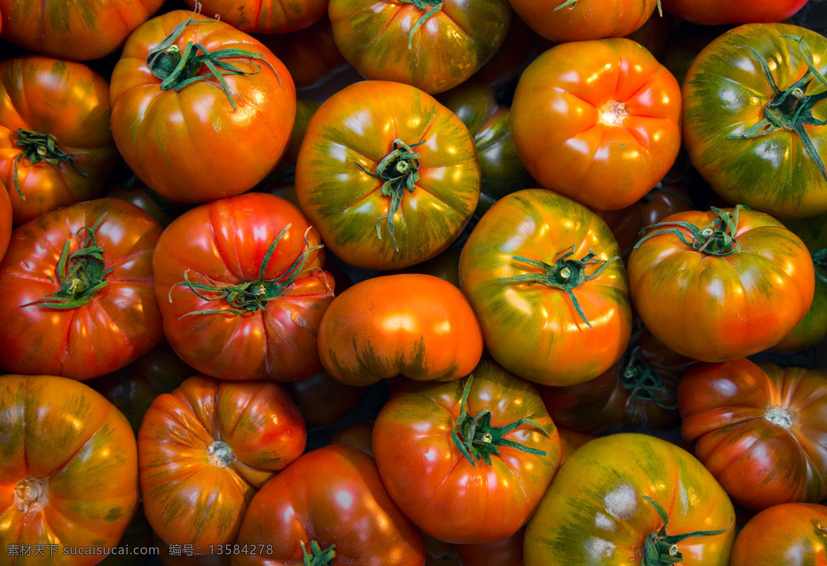 番茄西红柿素材图片下载-素材编号13584278-素材天下图库